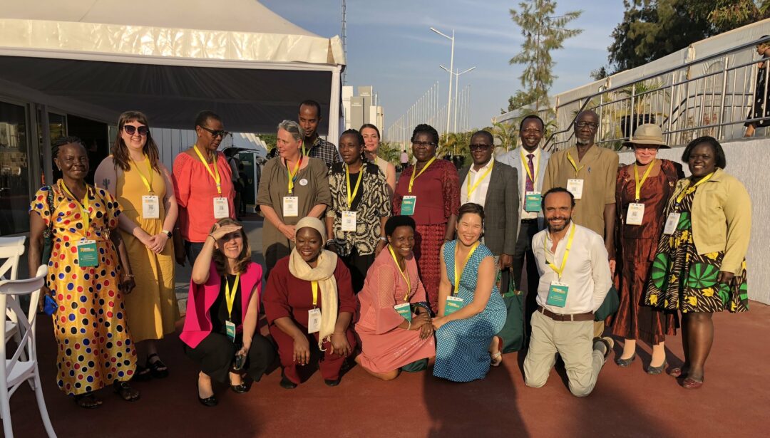 Empowering Refugees through Humanitarian Quality and Accountability ...