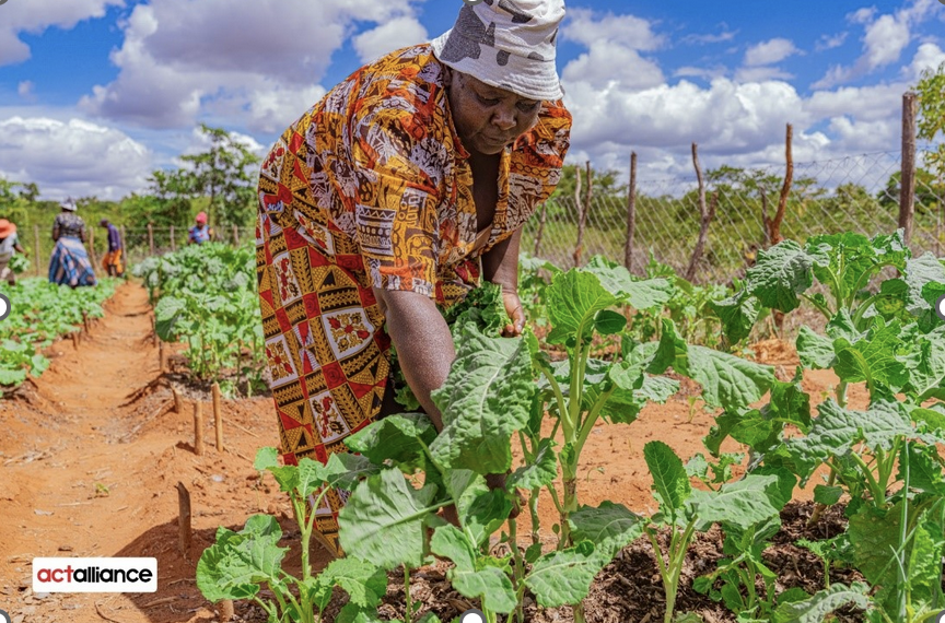Locally led climate action: a sustainable future for communities - ACT ...